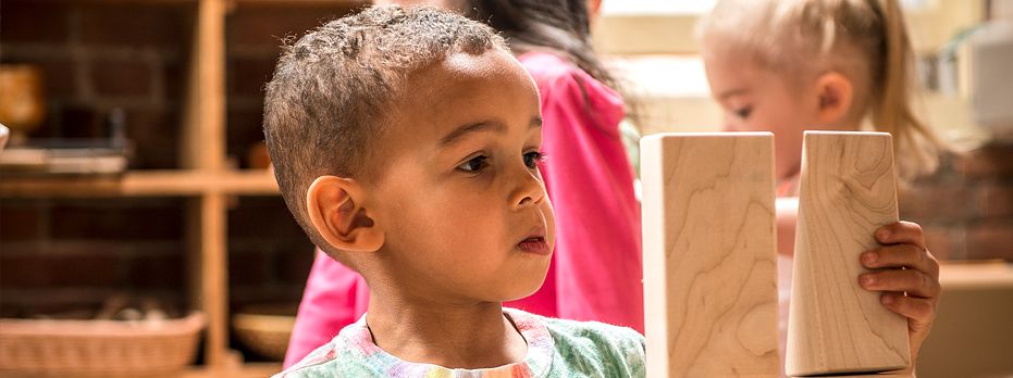 Building Blocks of Math Skills