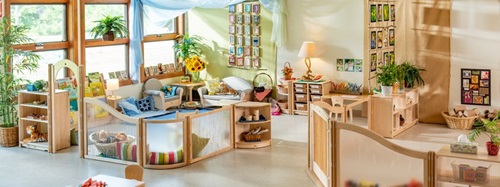 Supporting the Whole Child