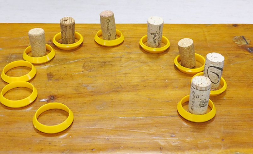 Understanding Number Development in Young Children