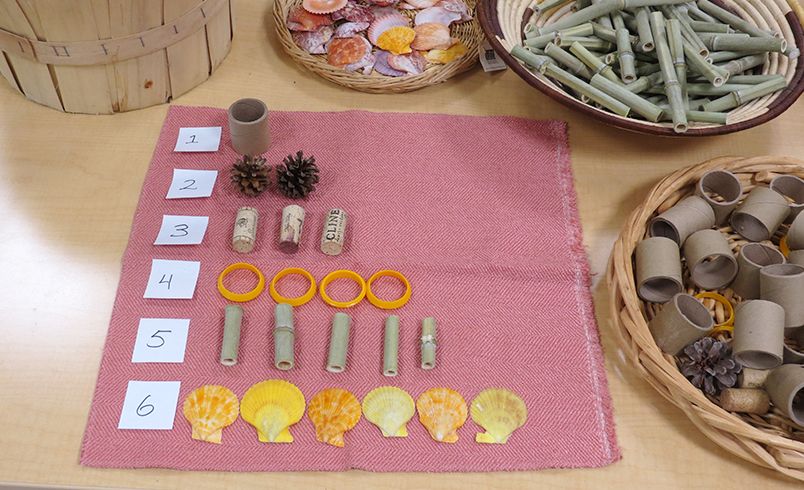 Understanding Number Development in Young Children