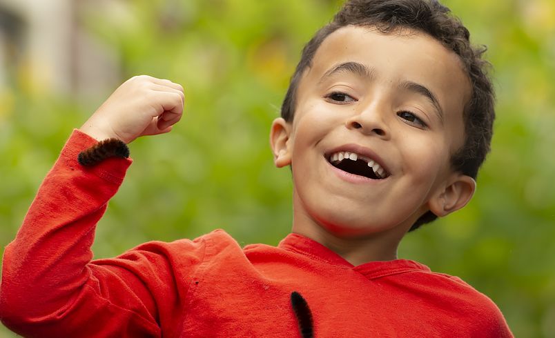 Boys and the Need for Goodness of Fit