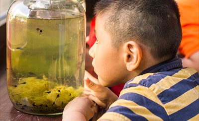 Project Work and Nature