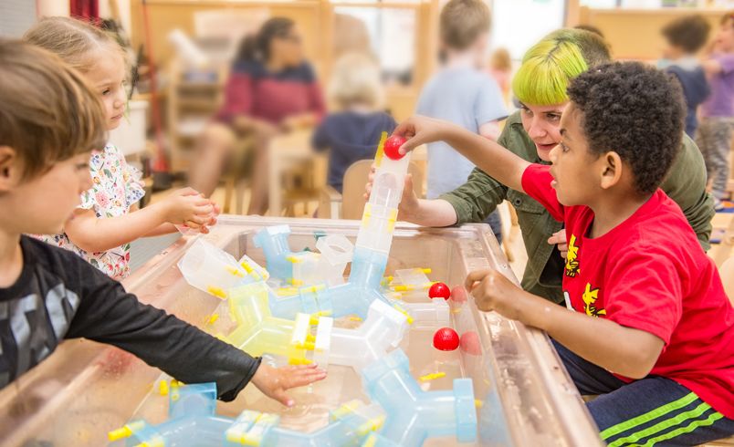 Meeting the Needs of Young Children with Developmental Delays