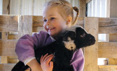 Connecting Animals and Children