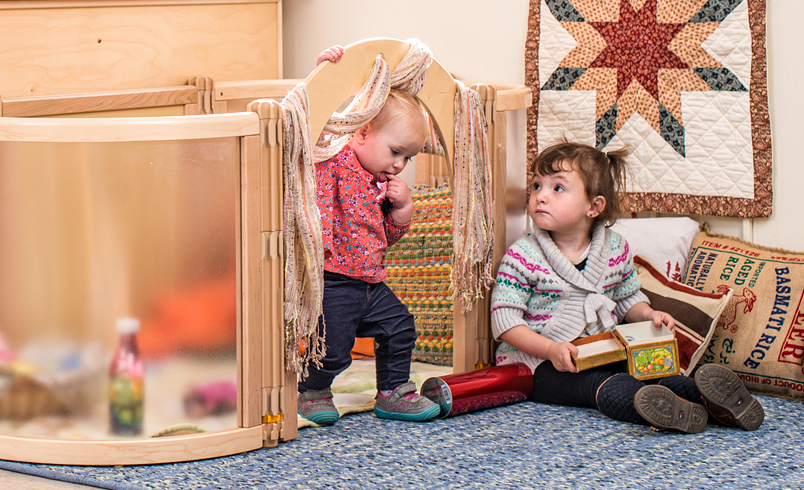 History of Early Childhood Education by David Elkind