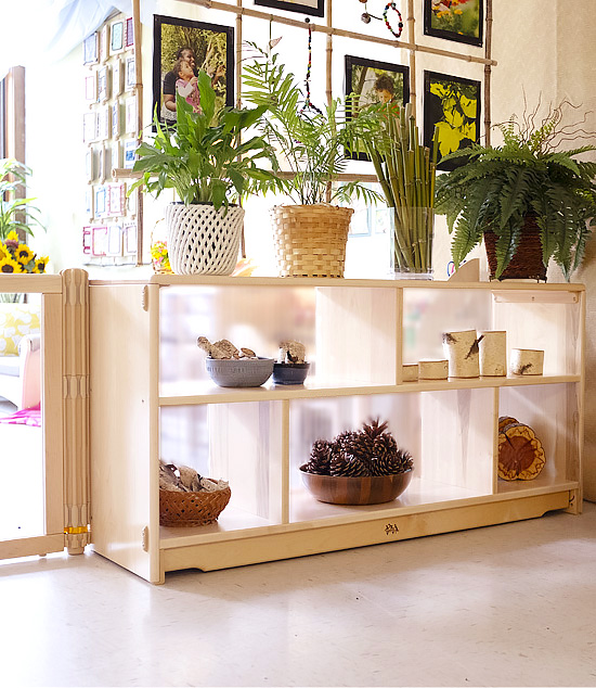 Translucent Back Shelf 4' x 24"