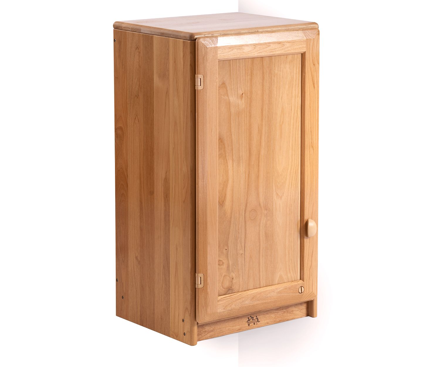 Wall Mounted Cabinet 16